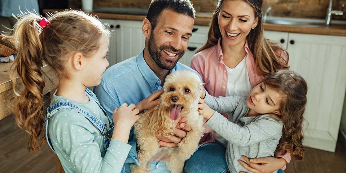 10 Tips to Save on Pet Care Costs (2025) | PrimeWay Federal Credit Union